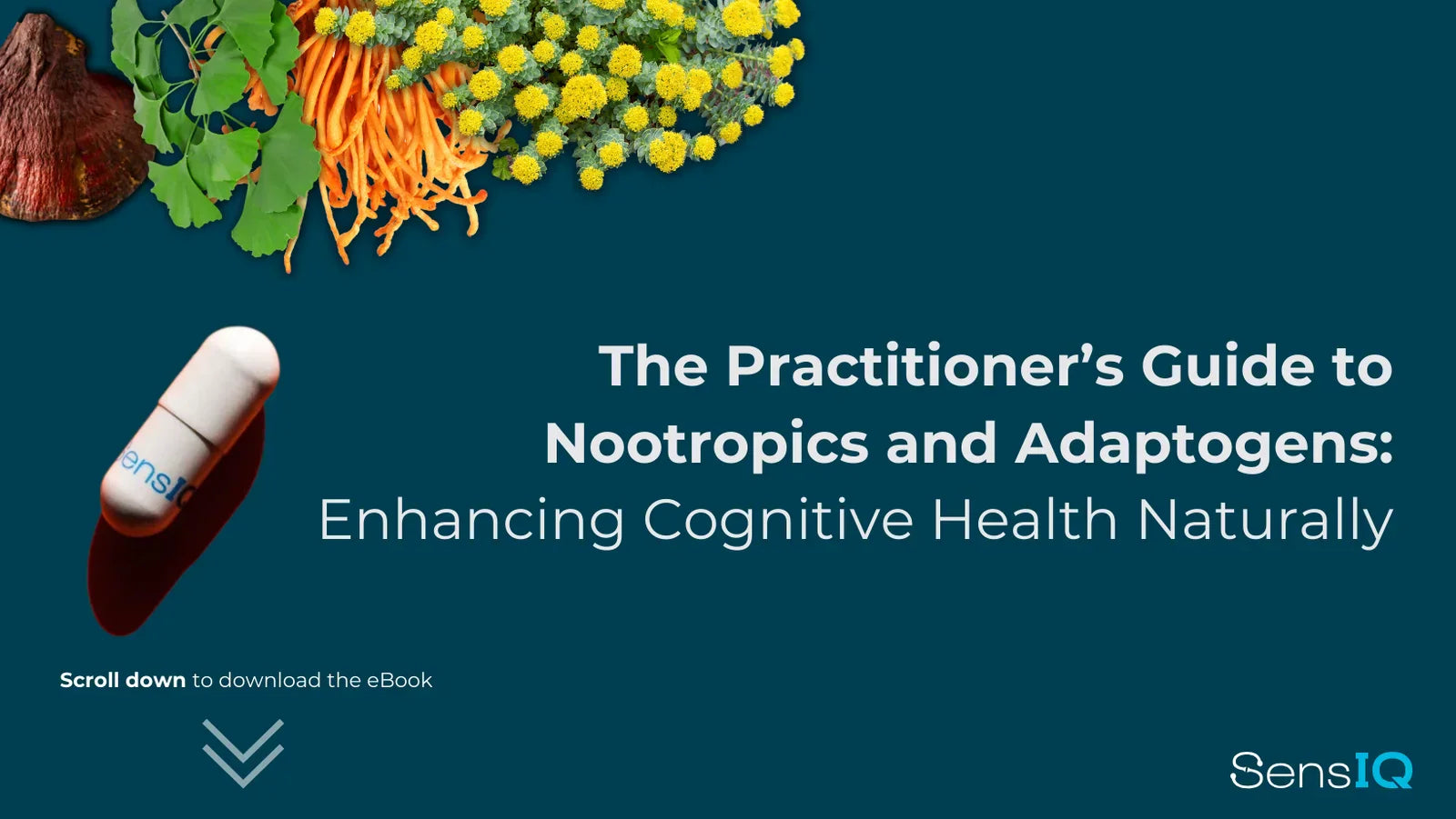The Practitioner’s Guide to Nootropics and Adaptogens – SensIQ